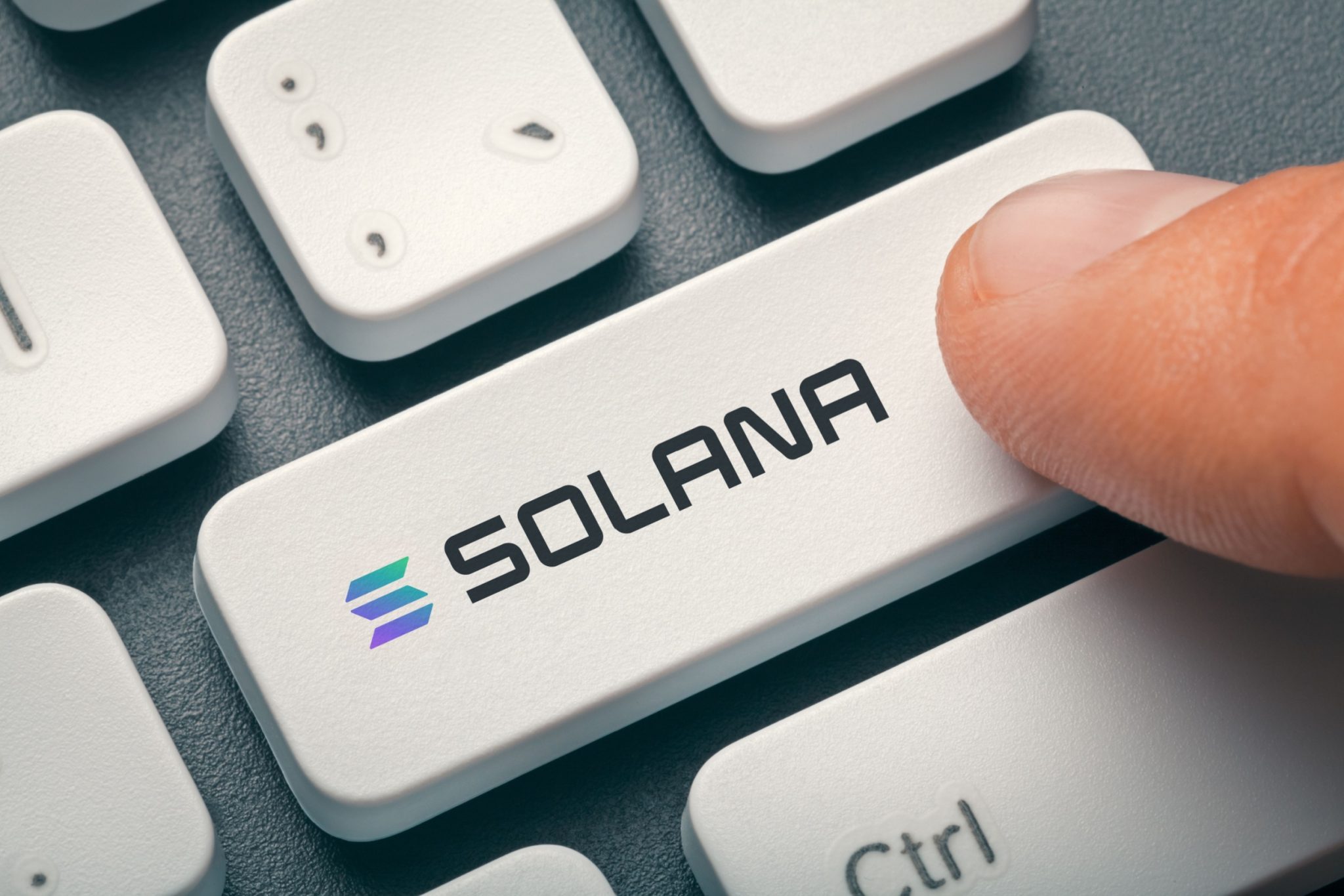 SOL Meme Coins in High Demand, Led by MICHI