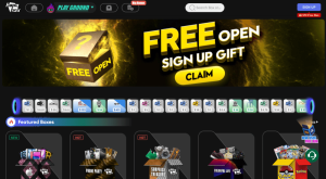 10 Best Mystery Box Sites & Subscriptions Online