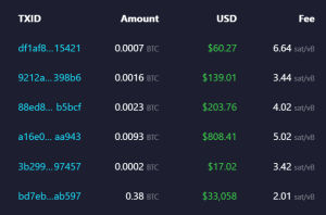 The Top and New Cryptos with the Lowest Gas Fees