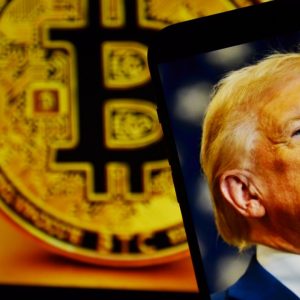 Costco Credit Card Login, Payment Methods, & Fees [2025]